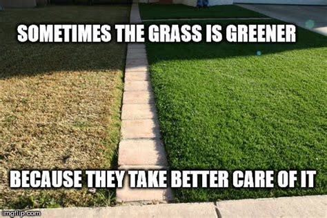 You can also take a proper care of your garden. Hire a landscaping ...
