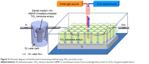 Improved Osseointegration Of Dental Titanium Implants By Tio2 Nanotube Ijn