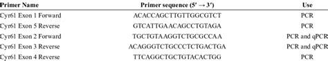 Exon Exon Bridging Primer Sets 5′ 3′ Across The Entire Cyr61 Tran