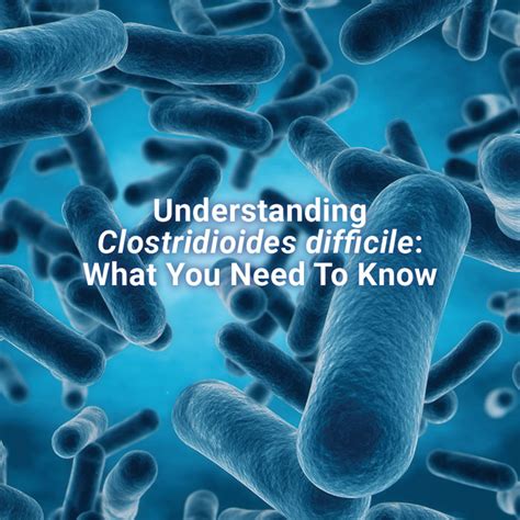 Understanding Clostridioides Difficile What You Need To Know
