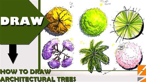 Tips For Drawing Trees In Architectural Drawings And Sketchs With Markers Architectural