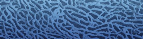 Journal Of Marine Science And Engineering Linkedin