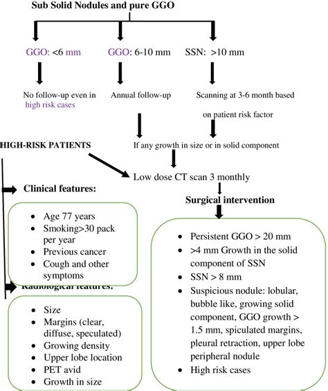 Management Of Ground Glass Opacities And Sub Solid Pulmonary Nodules A Surgeons Perspective Pmc
