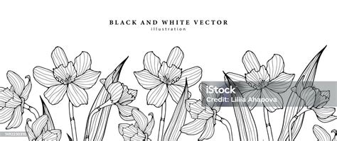 귀여운 꽃과 나뭇잎이 있는 흑백 꽃 배경 색칠하기 책 월페이퍼 엽서 프리젠테이션을 위한 배경 0명에 대한 스톡 벡터 아트 및 기타 이미지 Istock