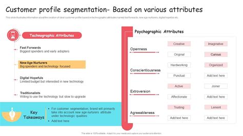 Customer Profile Segmentation Based Brand Extension And Positioning Ppt Information Ppt Sample