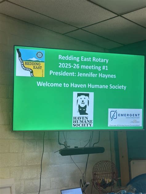 Redding East Rotary Ducks Are Being Prepared For Their Epic Swim Facebook