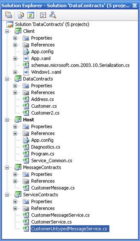 data contracts and serialization