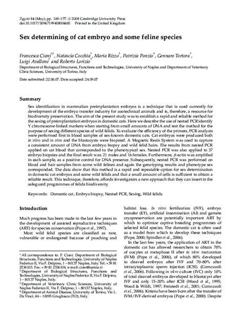 Pdf Sex Determining Of Cat Embryo And Some Feline Species