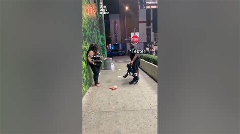 On A Bug Squashing Mission 😂 Softwaretesting Memes Memesdaily