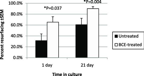 Surface Coverage Of Fetal Rpe On Submacular Bruchs Membrane From Aged Download Scientific