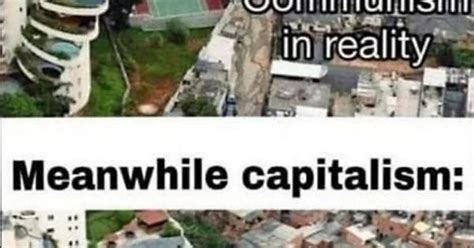 Textbook Example Of Cognitive Dissonance Album On Imgur