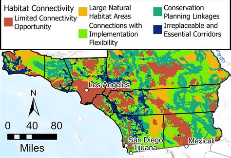 Biodiversity Conservation California Wildfire And Forest Resilience