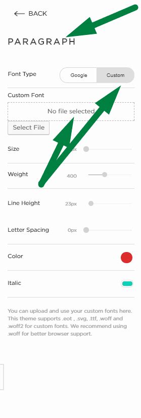 How To Set A Custom Font For Text And Rich Text Shortcodes In Massive Dynamic