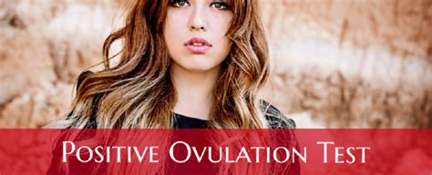 Positive Ovulation Test What S The Best Time For Intercourse