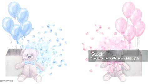 배너 블루 핑크 소년 또는 소녀 상자 속의 풍선 테디베어 색종이 손으로 그린 수채화 그림은 흰색 배경에 분리되어 있다 성별 공개
