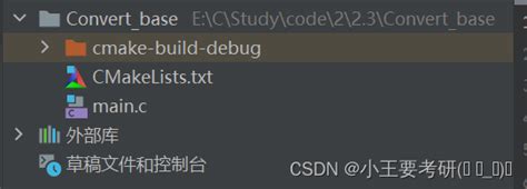 设置cmakebuildtype为debuginclion Csdn博客