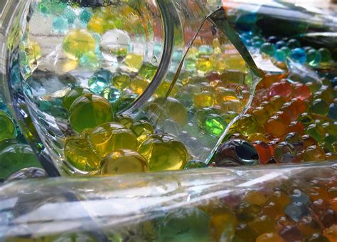 무료 이미지 햇빛 잎 꽃 창문 유리 녹색 반사 색깔 생물학 그림 조류 Ggl1 개비 1 Xovesphoto 다양성 약간 캐논 X 40hs