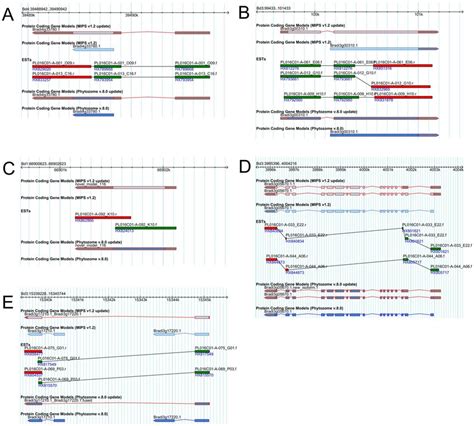 Examples Of Updated Structural Annotation Based On Full Length Cdna