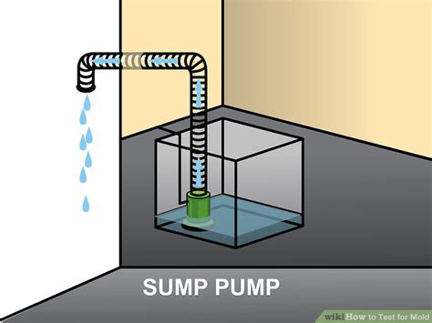 How To Test For Mold With Pictures WikiHow