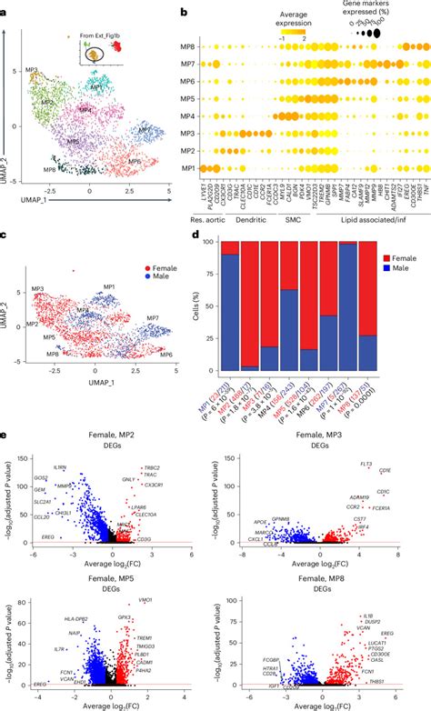 Single Cell Rna Sequencing Reveals Sex Differences In The Subcellular