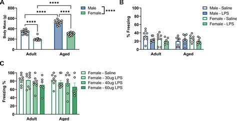 Sex Differences In Microglia Function In Aged Rats Underlie