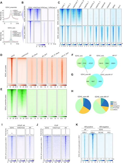 A Cryptic Transactivation Domain Of Ezh2 Binds Ar And Ars Splice Variant Promoting Oncogene