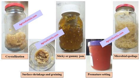 PROBLEMS IN JAM MAKING