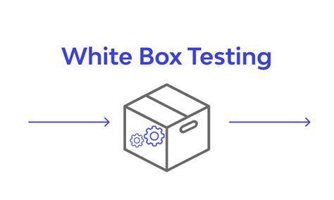 White Box Testing What Is Types Techniques Example
