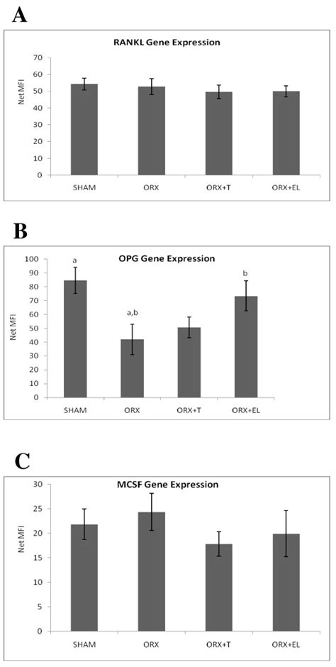 A B And C The Rankl Opg M Csf Gene Expressions For All The Groups