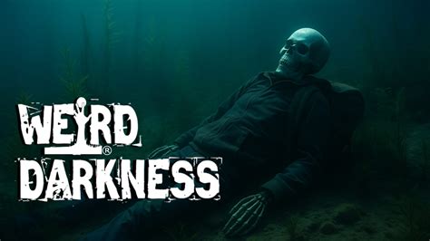 Without A Trace Unraveling The Enigma Of The Missing 411 Mystery