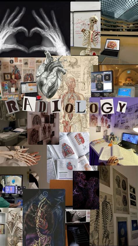 Radiology Radiology Student Radiology Technician Radiology Technologist