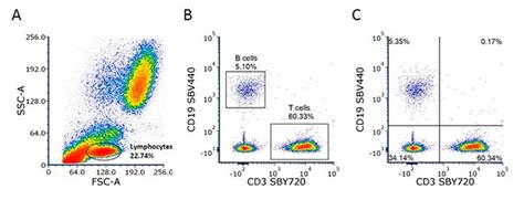 Gating Strategies For Effective Flow Cytometry Data Analysis Bio Rad