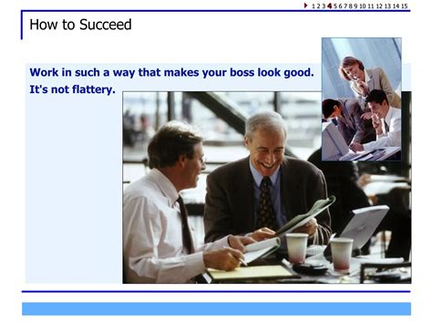 How To Succeed 15 Point Program Pps