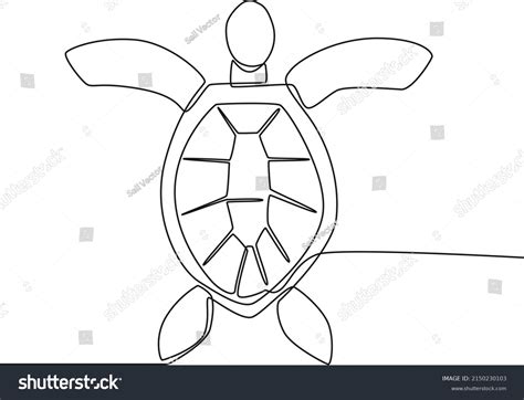 90 Tortoise Line Art Top View Images Stock Photos Vectors Shutterstock