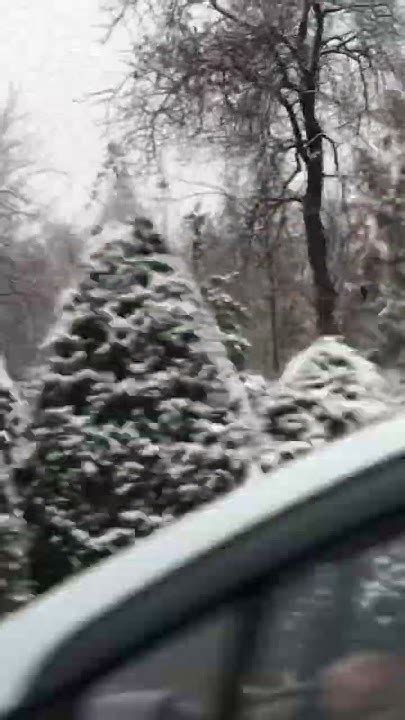 Зима 🥶 в Ташкенте Youtube