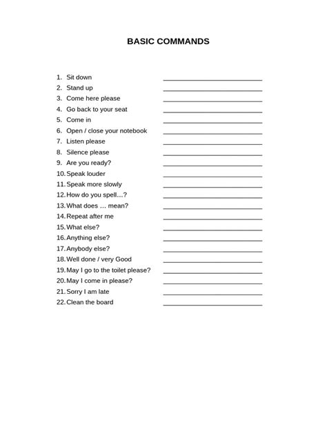 Basic Commands Pdf