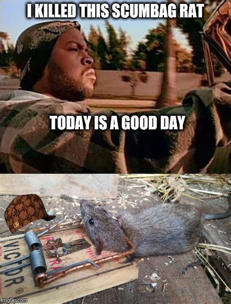 Good Old Victor Rat Traps Imgflip