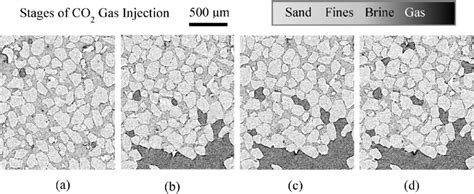 Cross Sections Obtained From 3d Images Showing Co 2 Gas Injection Download Scientific Diagram