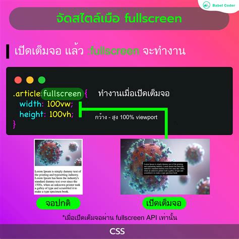 Babel Coder การใช้ Fullscreen เพื่อจัด Css