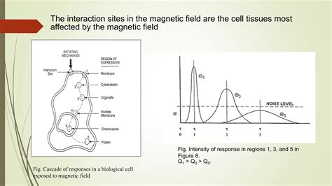 Oscillating Magnetic Field Pptx
