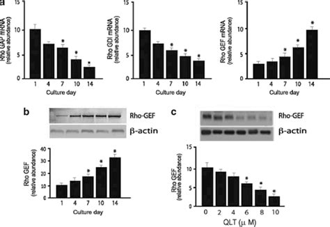 Correction The Function Of Integrin Linked Kinase In Normal And