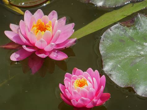 Creating Sex Positive Mindset Hypnosis