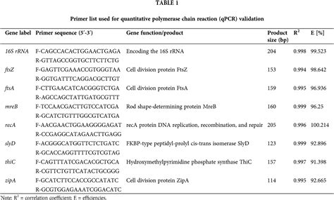 Biocell Free Full Text Selection And Validation Of Reference Genes For Quantitative Real