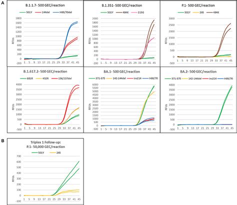 Frontiers Development Testing And Validation Of A Sars Cov 2