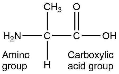 Alanine Amino Acid Structure