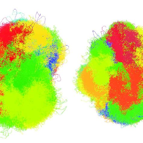 Two Different Perspectives On The Chromatin Structure Of Cell