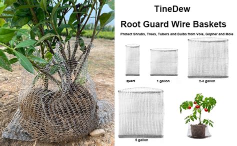 Tinedew Gopher Wire Baskets 14 Pcs Root Guard Gopher Basket 1 Quart 1 Gallon 3