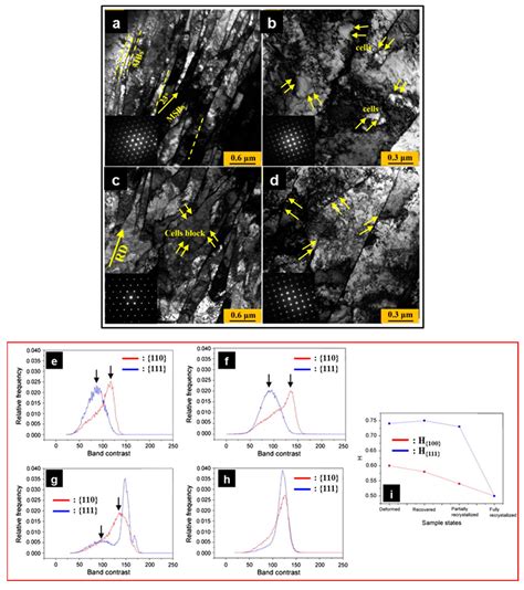 Evolution Of Microstructure And Crystallographic Texture In Deformed