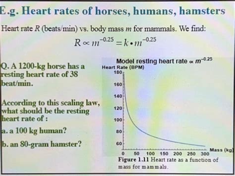1 2 Draw A Postion Vs Time And Or Velocity Vs Time