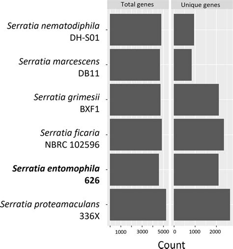 Total And Unique Genes For Each Serratia Isolate Assessed Minimum